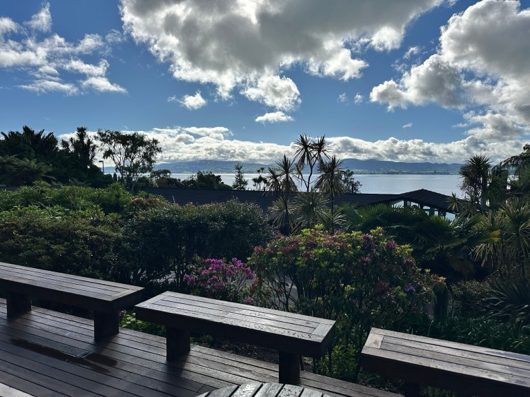 Visit from Noël, Thanksgiving in NZ and What’s Next for the Ostrom’s ...